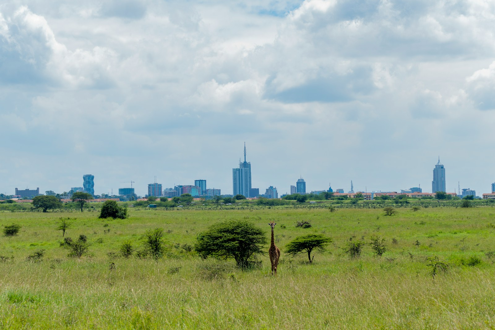 Nairobi Travel Guide 2024